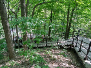 Mount Royal – summit’s and belvedere’s – WalkMontréal